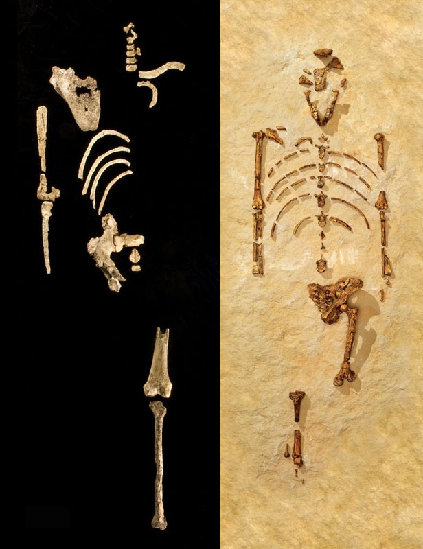 Top Ten Archaeological Discoveries in 2010 | Amusing Planet